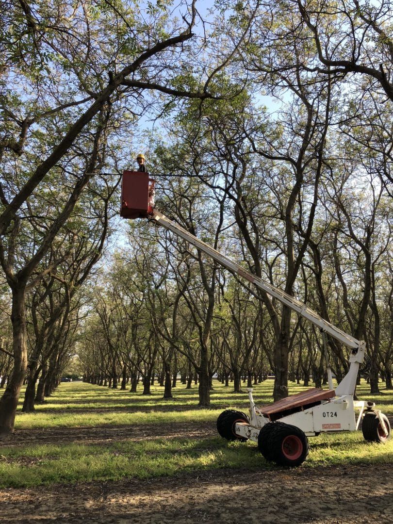 Getting the Biologically Integrated Orchard Systems (BIOS ...