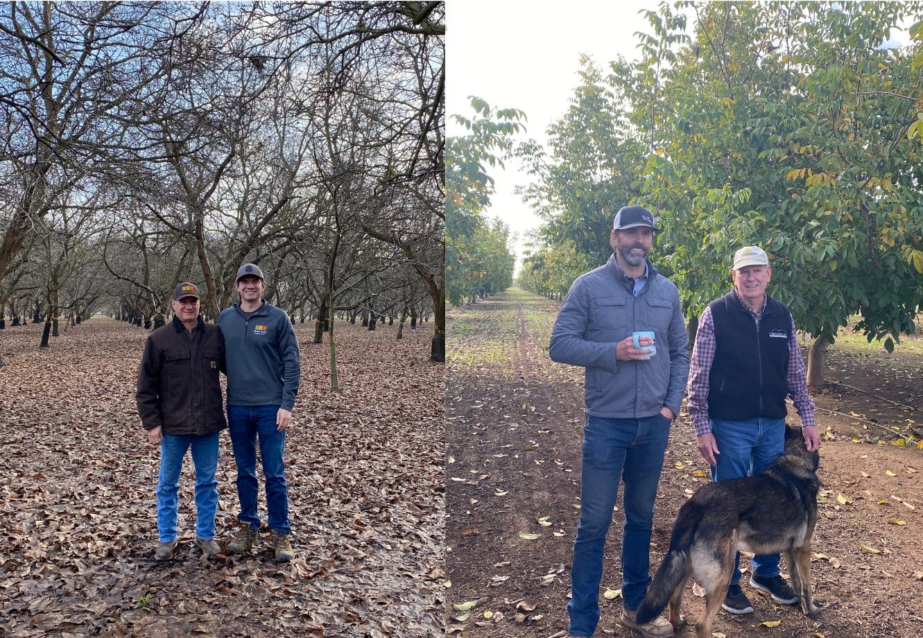 The Legacy of Biologically Integrated Orchard Systems (BIOS) in Walnuts ...