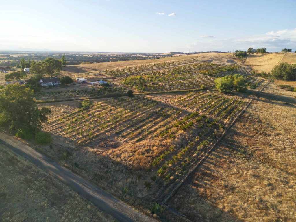California Farm Directory - Community Alliance with Family Farmers